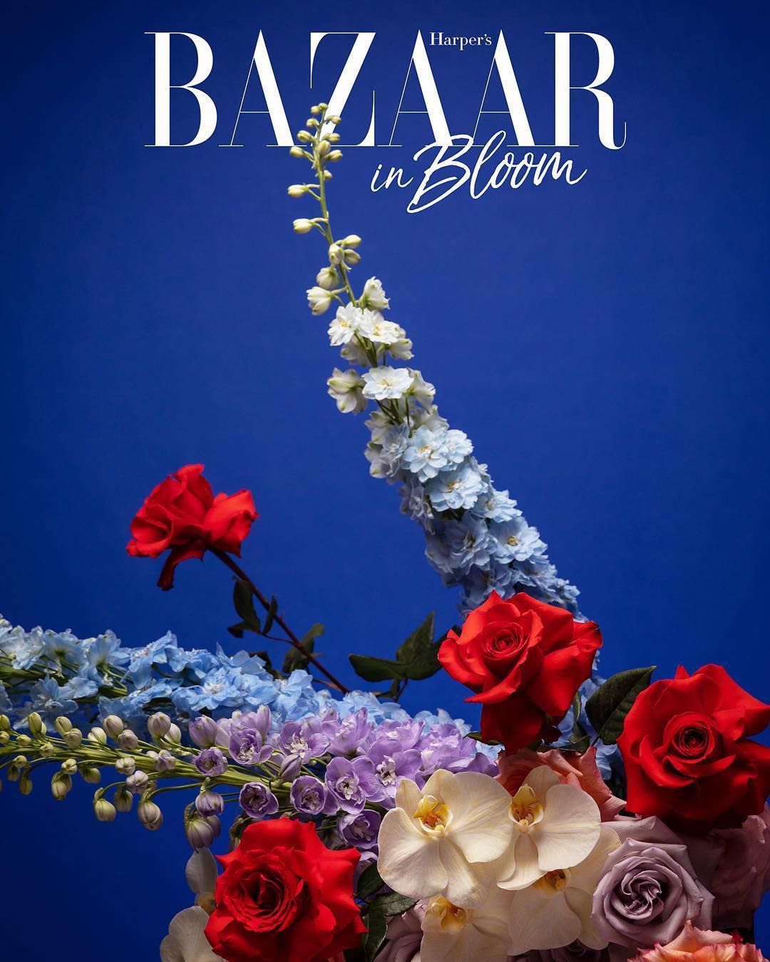 Events - Hermetica Flowers