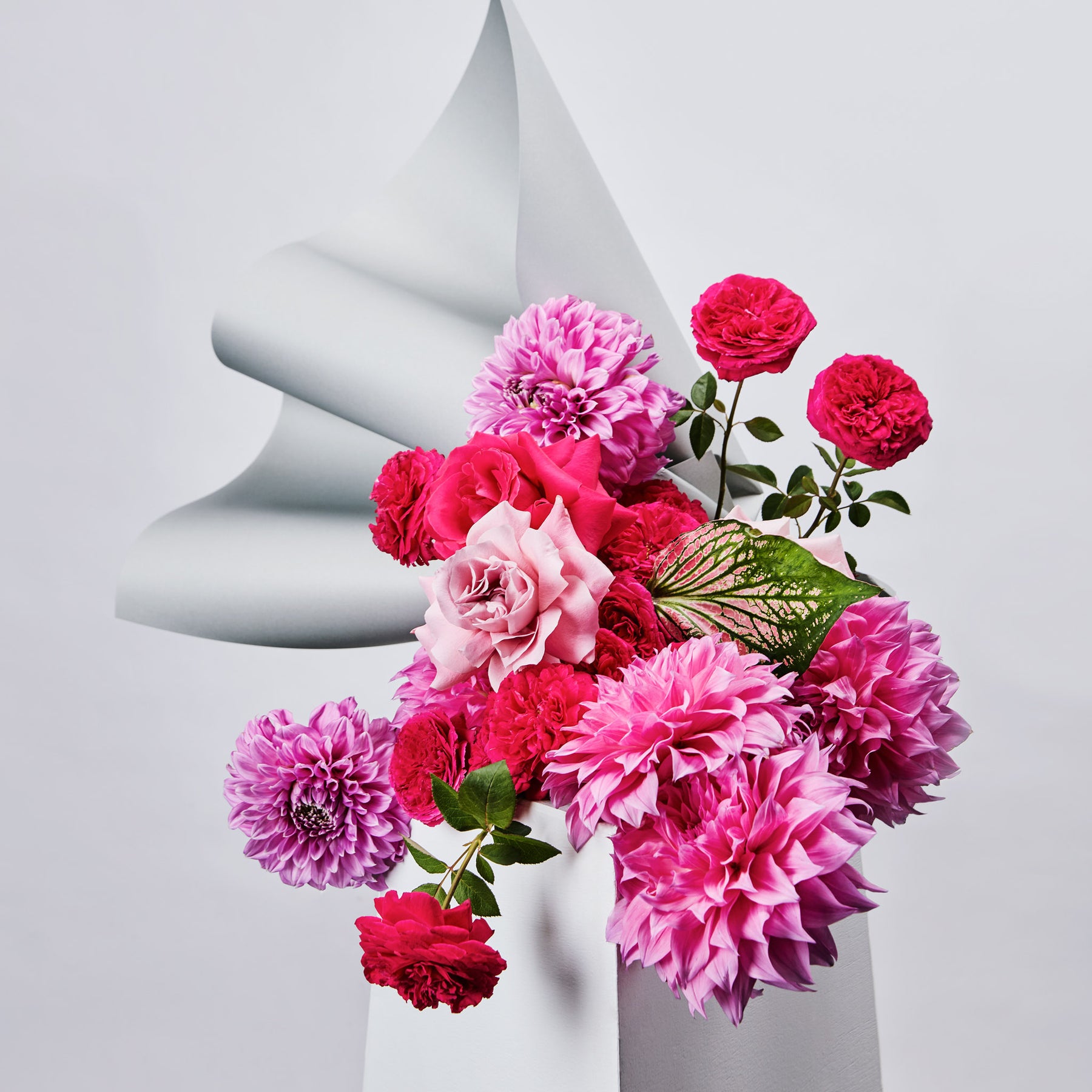 Hermetica Flowers - Sydney's best experimental florist & events